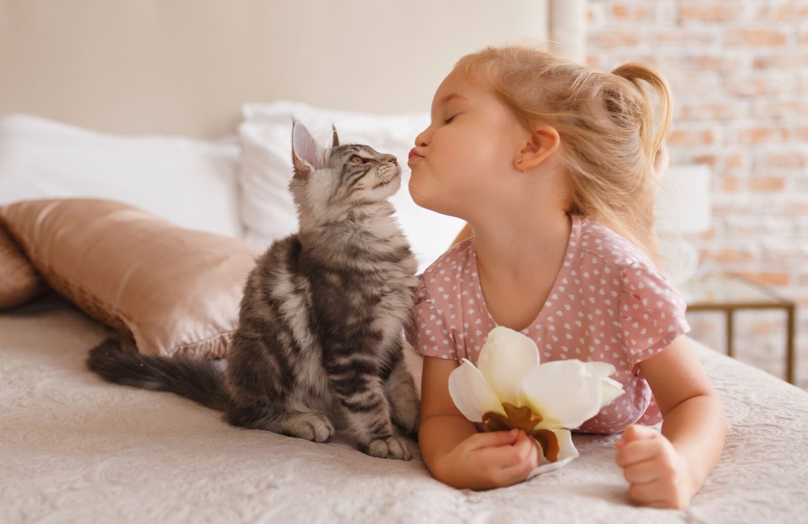 7 wesentliche Tipps zur Auswahl kindersicherer und haustierfreundlicher Waschmittel - scentme